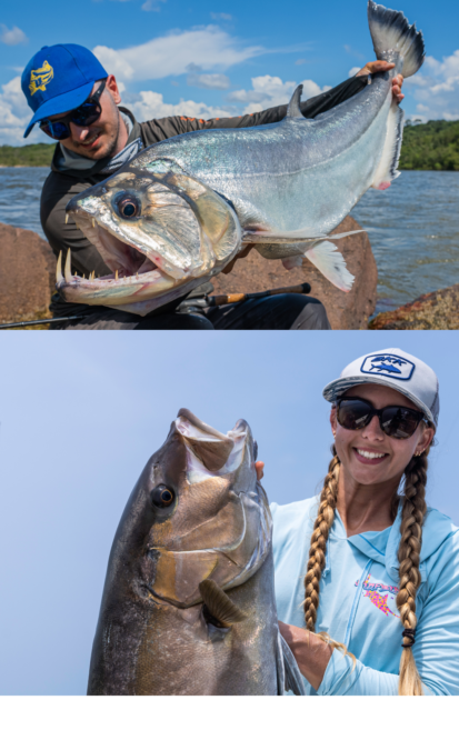 Fish Colombia – At Fish Colombia we are very proud of our country and ...