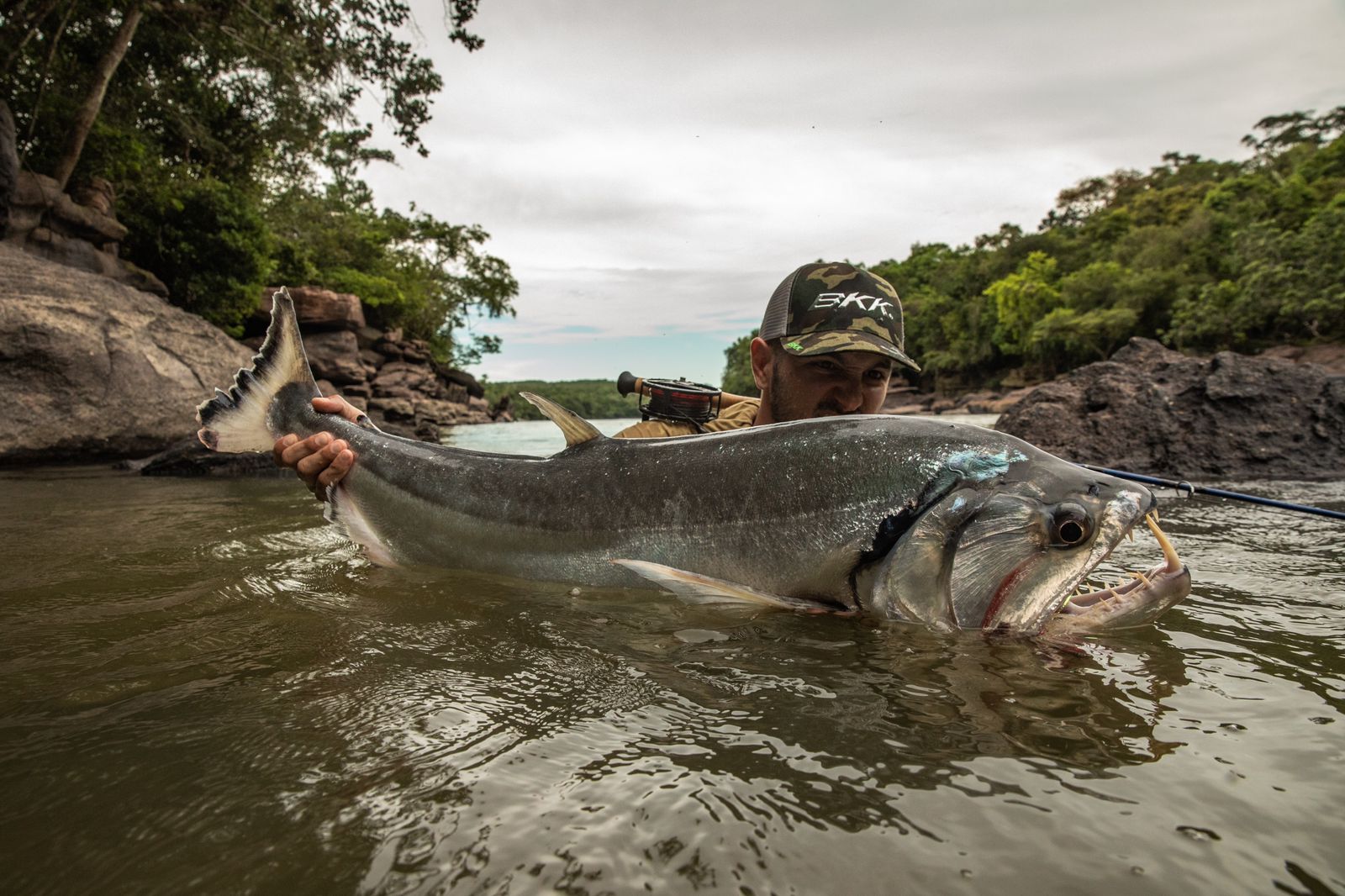 Reviews – Fish Colombia