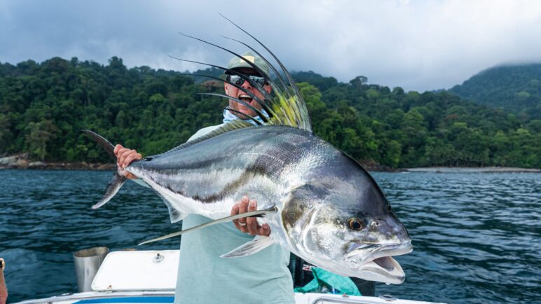 Seasons – Fish Colombia