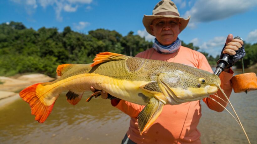 Seasons – Fish Colombia
