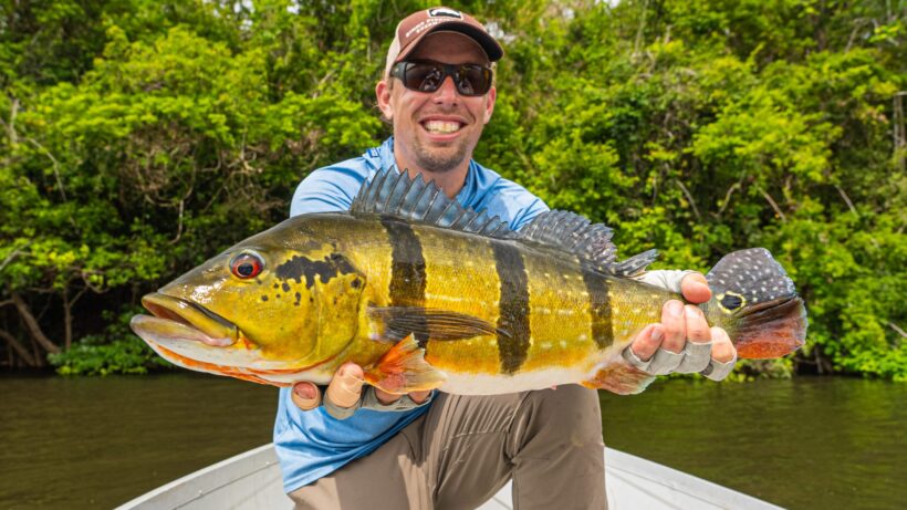 Seasons – Fish Colombia