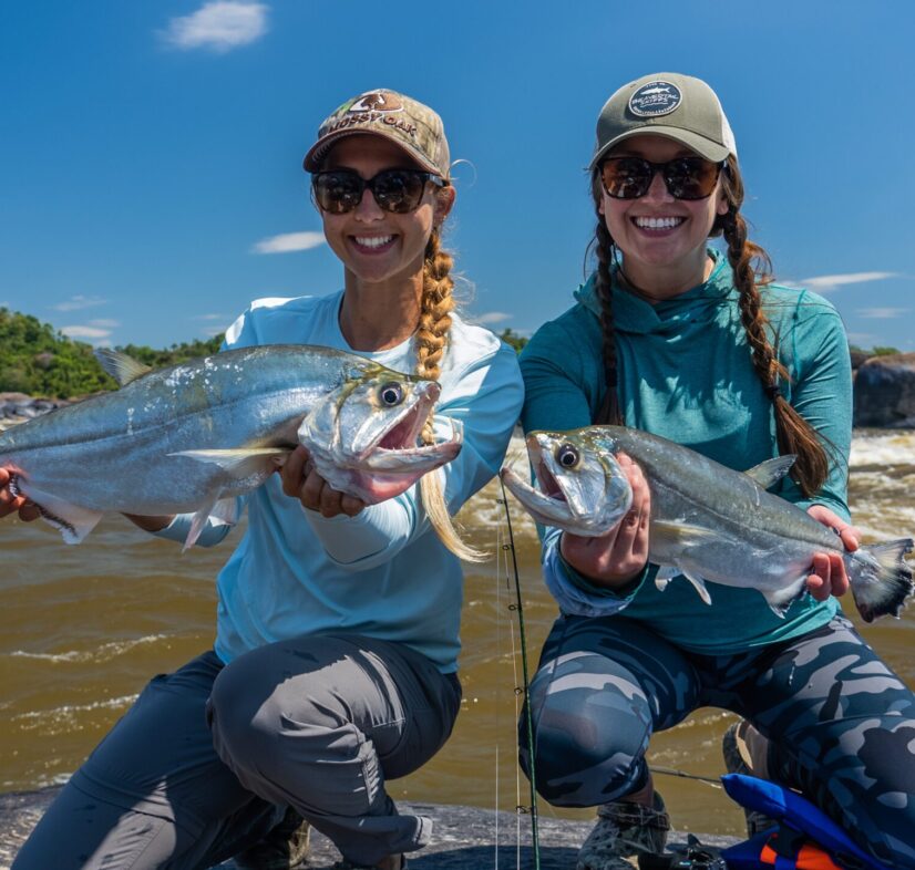 Fish Colombia – At Fish Colombia we are very proud of our country and ...